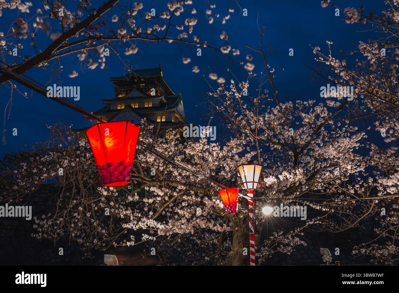 Osaka Castle illuminated at night, with cherry blossoms in full bloom ...