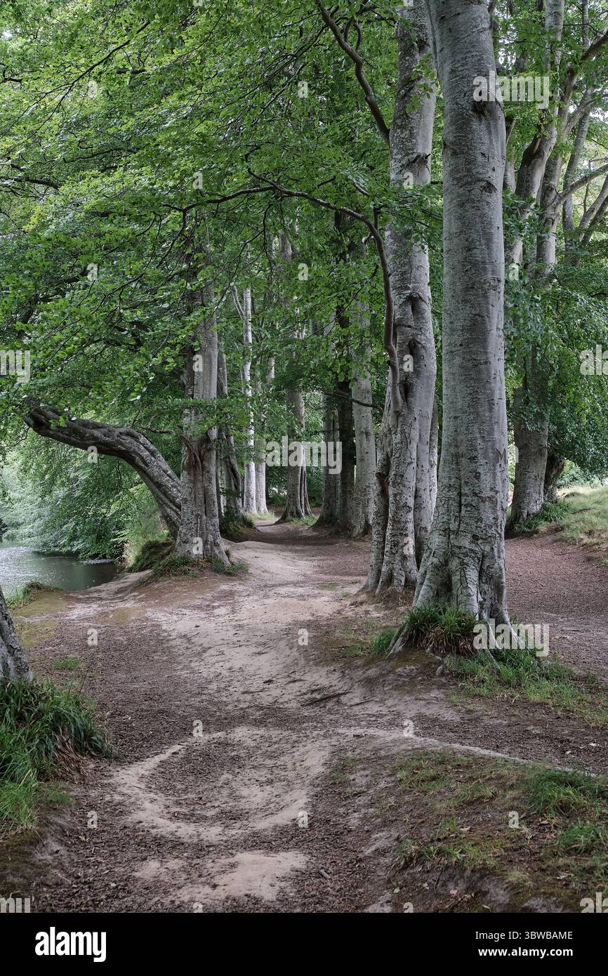 Riverside nature trail hi-res stock photography and images - Alamy