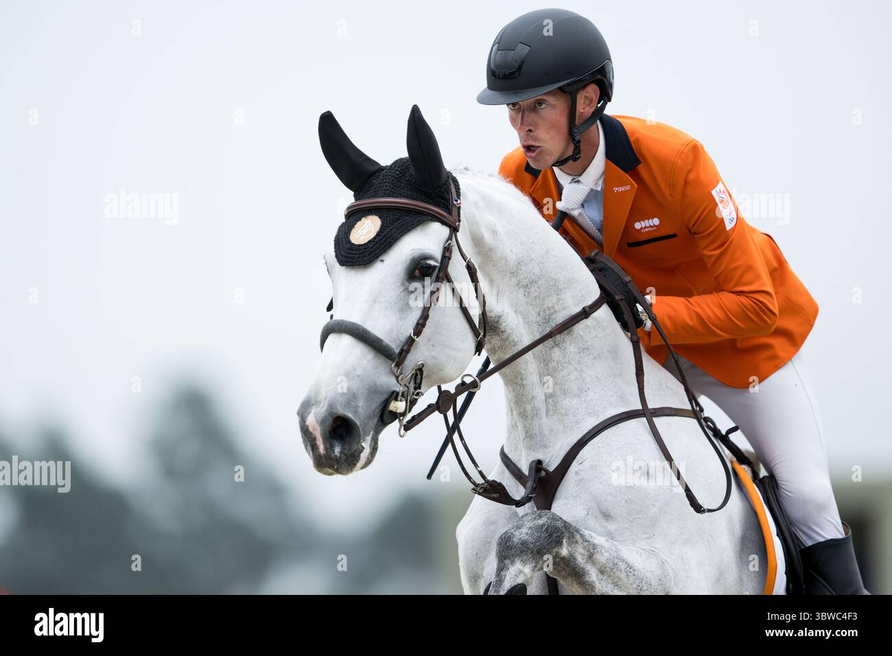 250716 Kevin Jochems of Netherlands with horse Camilla van de Helle ...