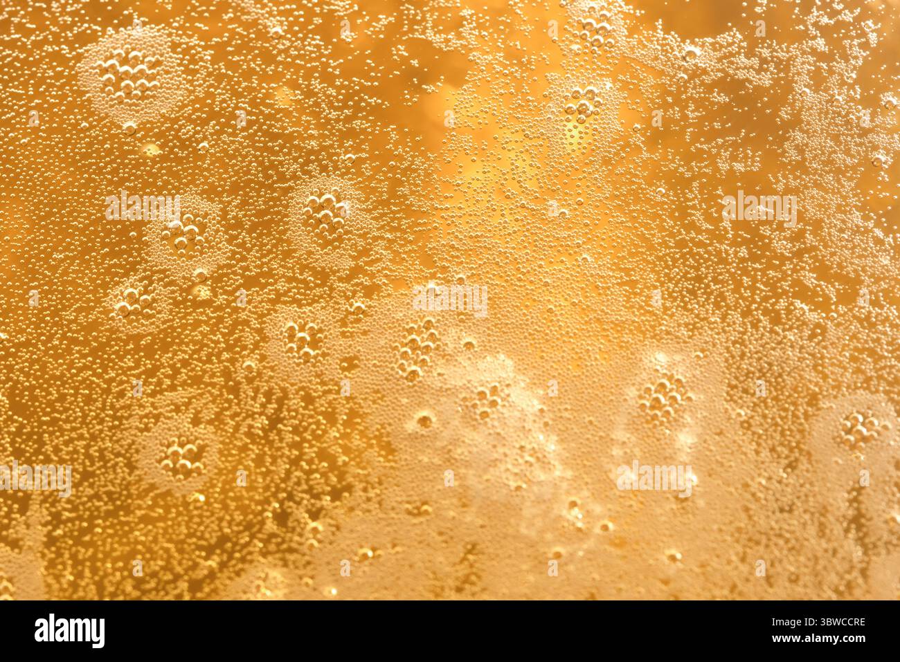 Craft alcohol foam beer hi-res stock photography and images - Alamy
