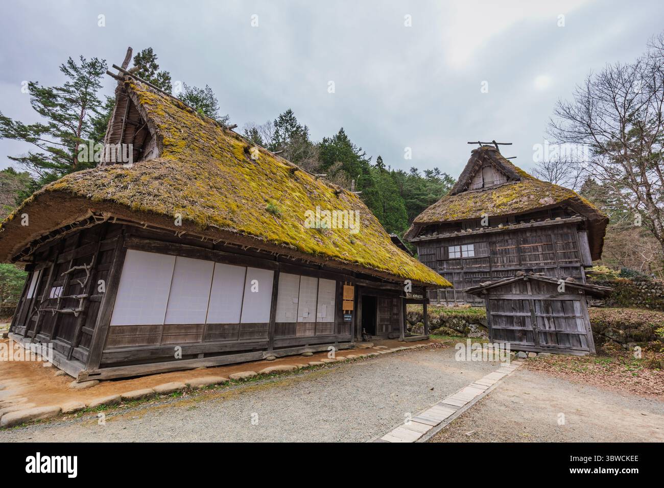 Traditional Gassho-style farmhouses with moss-covered thatched roofs in ...