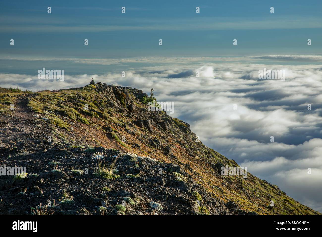 WA28531-00...WASHINGTON - Fog covered lowlands viewed from trail over ...