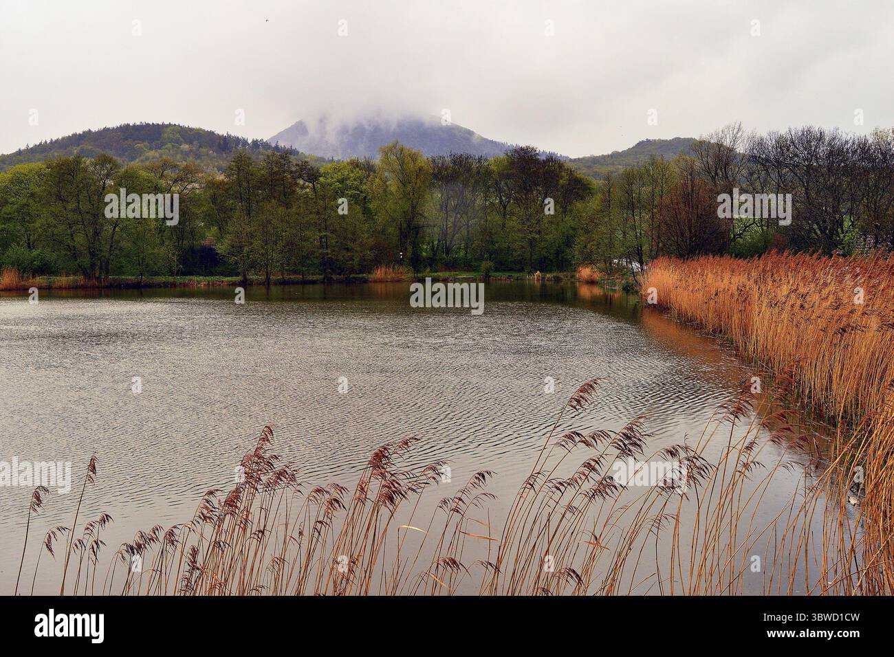 Moody Czech Pond View on a Cloudy Rainy Windy Day in the Countryside ...