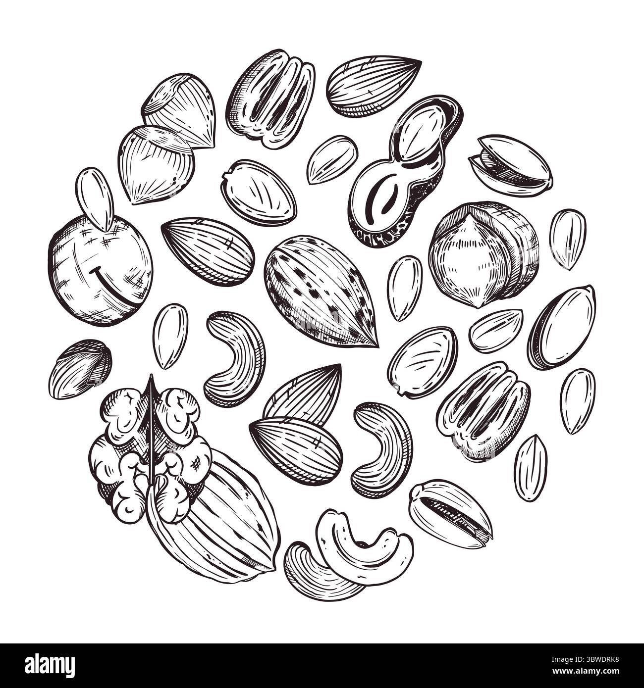 Nuts almonds on table Stock Vector Images - Alamy