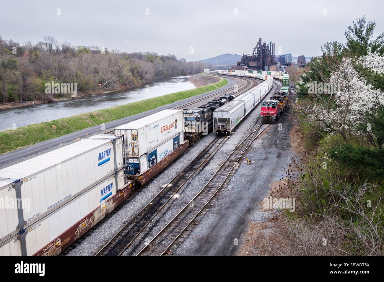 Steerl hi-res stock photography and images - Alamy
