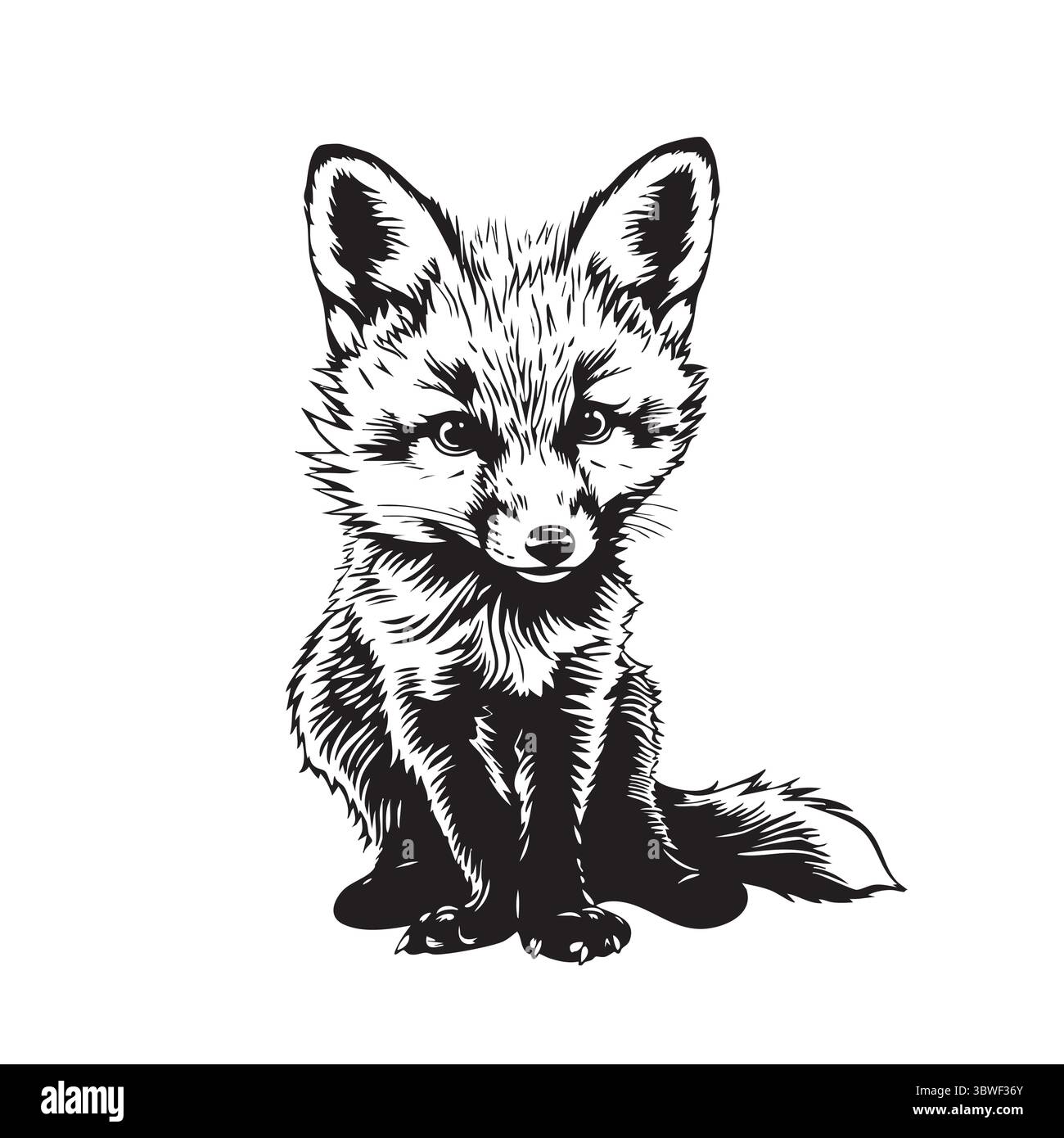 Wild red little fox Black and White Stock Photos & Images - Alamy