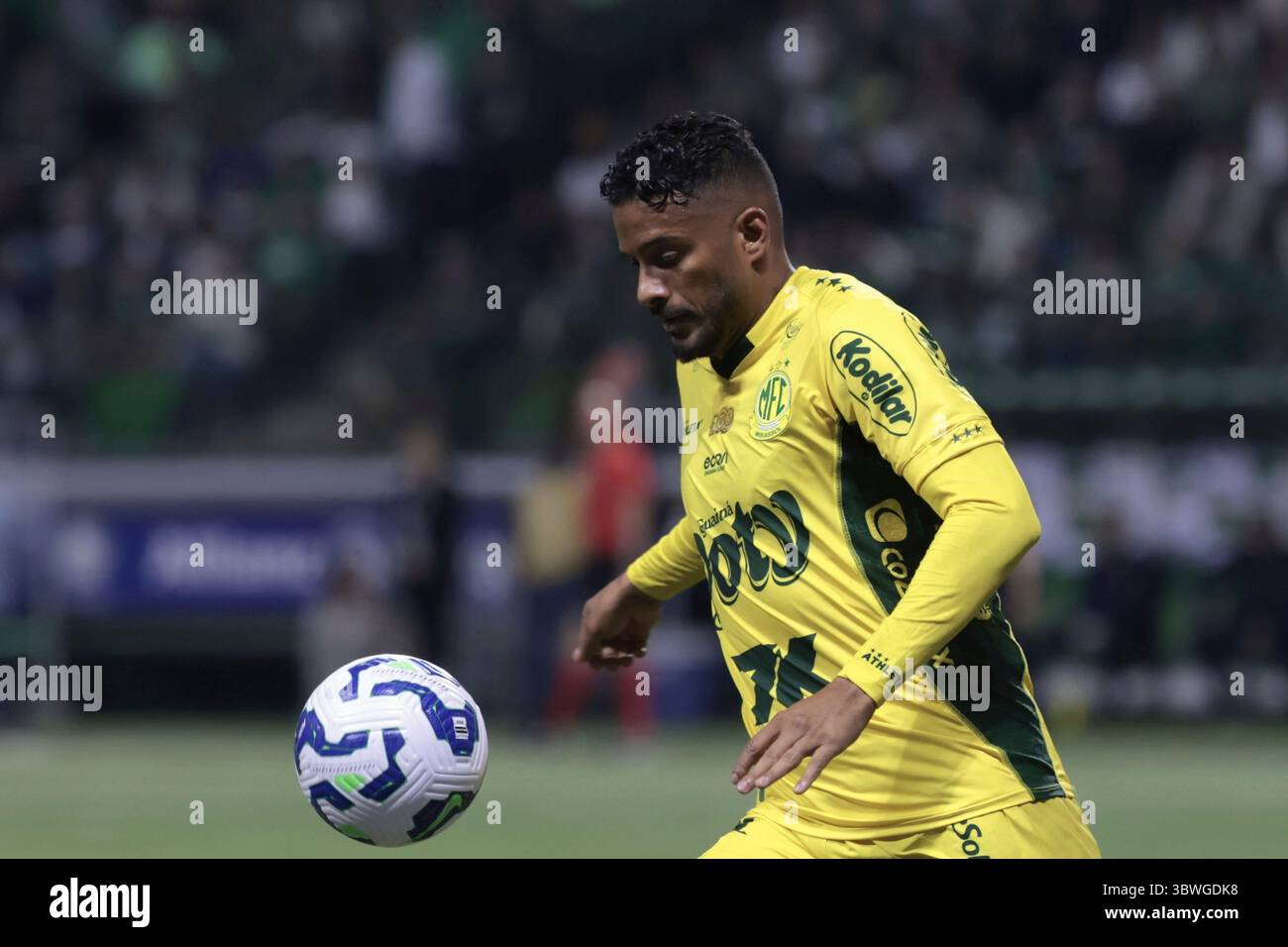 SP - SAO PAULO - 07/16/2025 - BRAZILIAN A 2025, PALMEIRAS x MIRASSOL ...