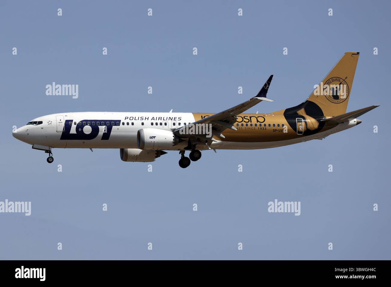 In the photo, a Boeing 737 MAX 8 of the company Lot 100 Years Krosno ...