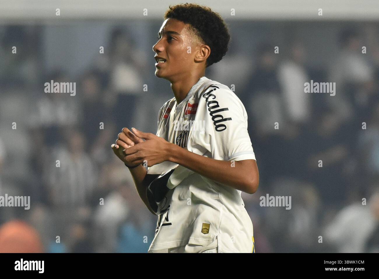 SP - SANTOS - 07/16/2025 - BRAZILIAN A 2025, SANTOS x FLAMENGO ...