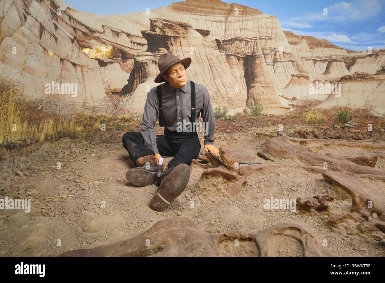 An archeologist, paleontologist, at a dig, uncovering dinosaur bones ...