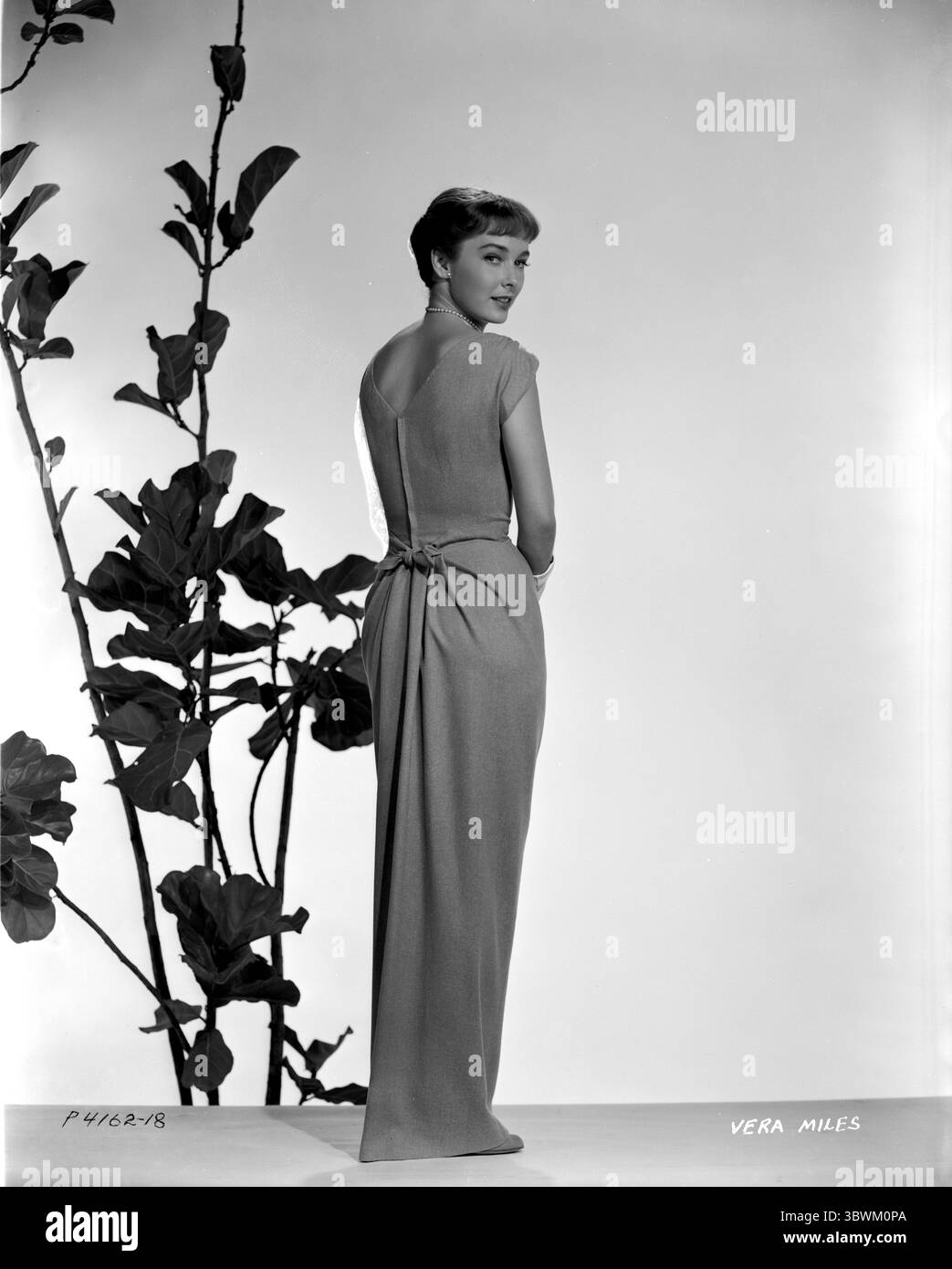 Plant designed Black and White Stock Photos & Images - Alamy