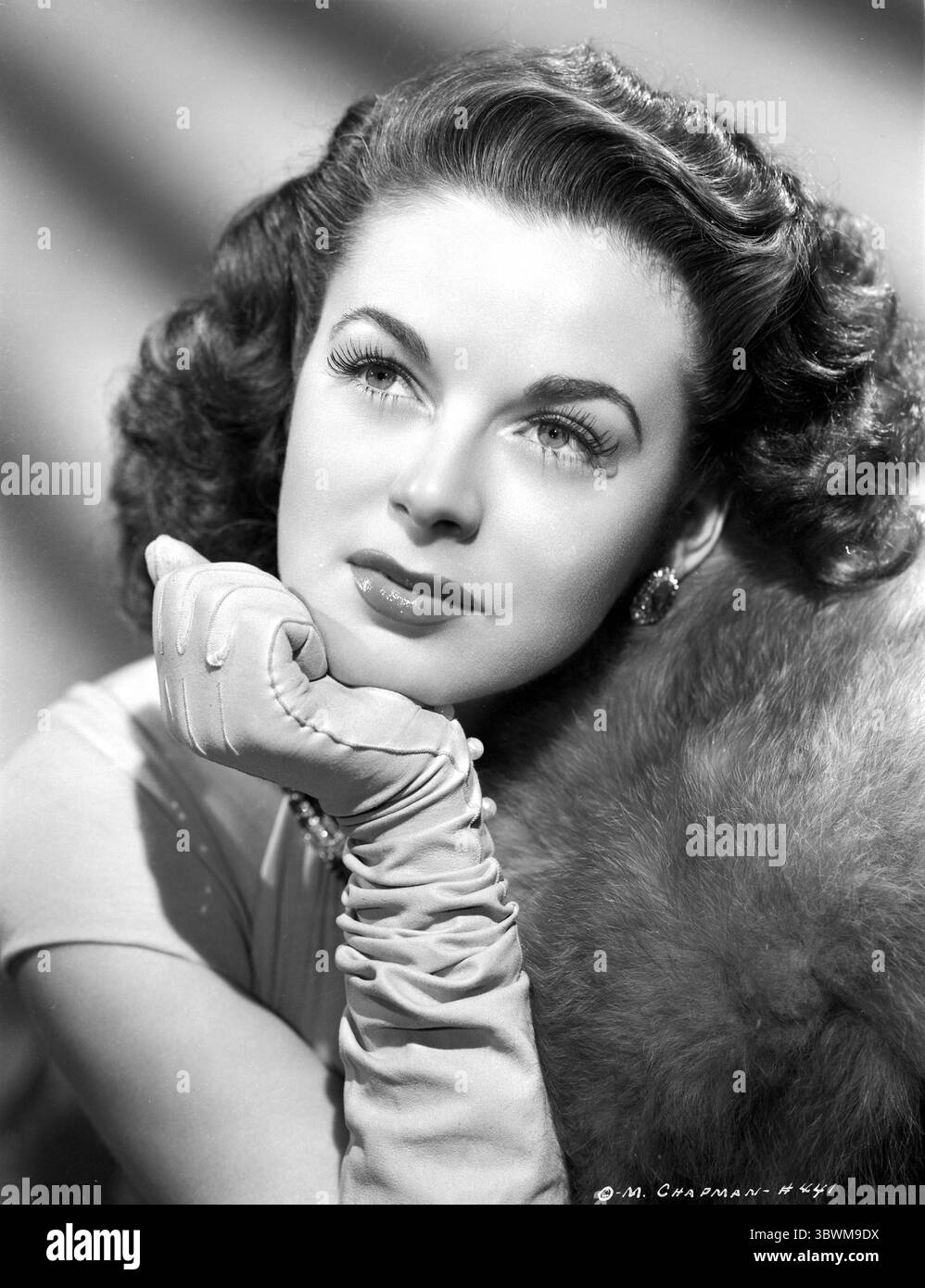 Marguerite chapman hi-res stock photography and images - Alamy