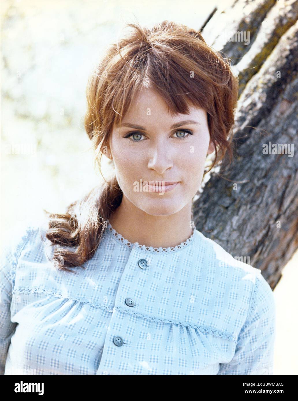 Susan clark hi-res stock photography and images - Alamy