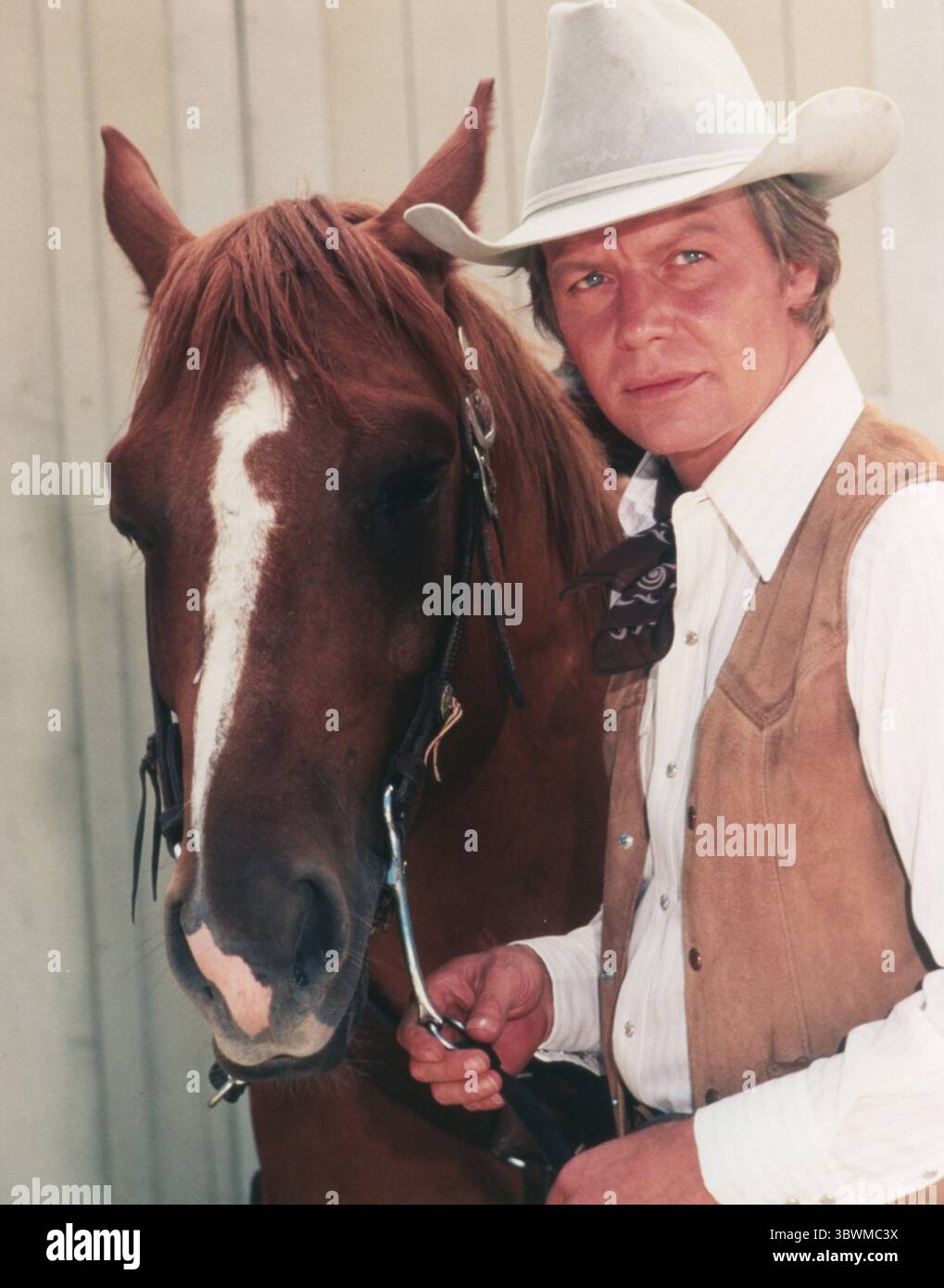 1980 movie star hi-res stock photography and images - Alamy