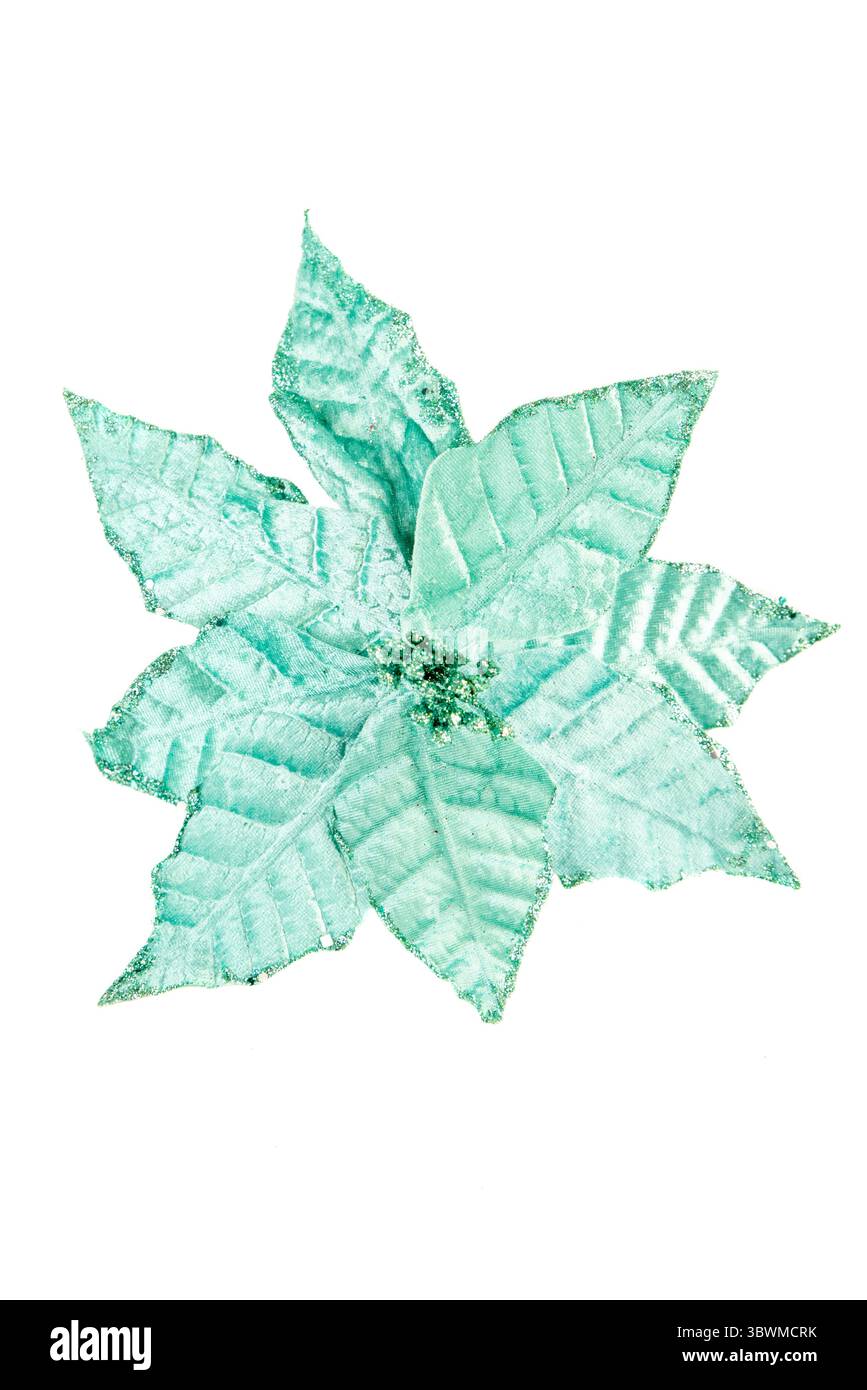 Festive diy Cut Out Stock Images & Pictures - Alamy