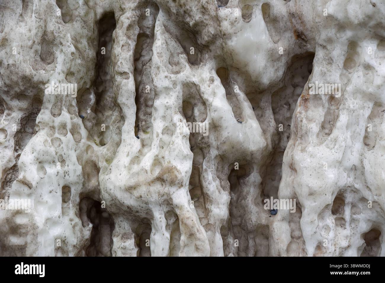 Closeup of a white textured limestone formation with natural grooves ...