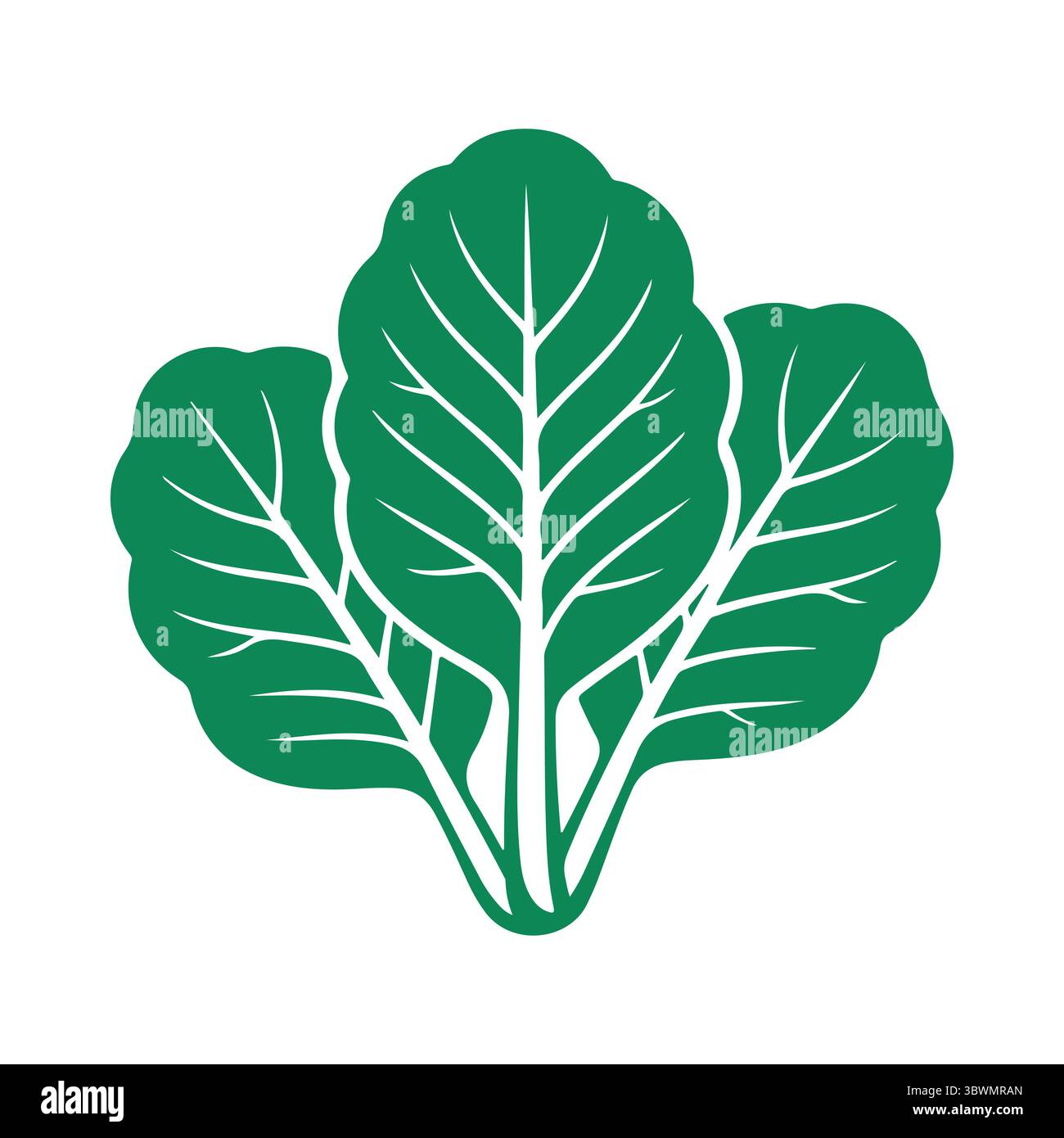 Vibrant greens of Stock Vector Images - Alamy