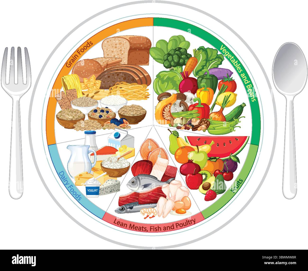 Vector illustration of a balanced meal plate divided into food groups ...