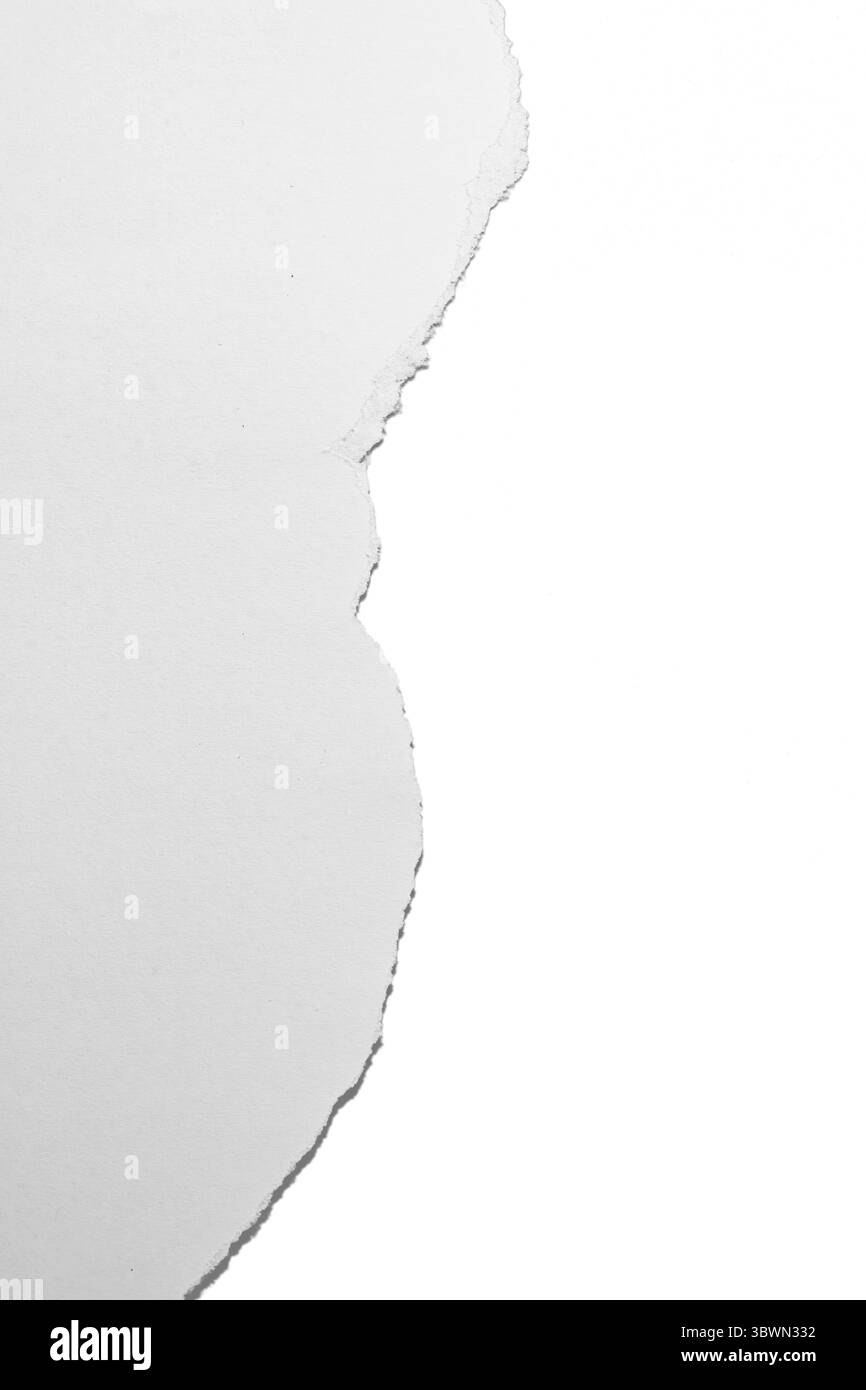 White paper ripped message torn with rough edges isolated on a white ...