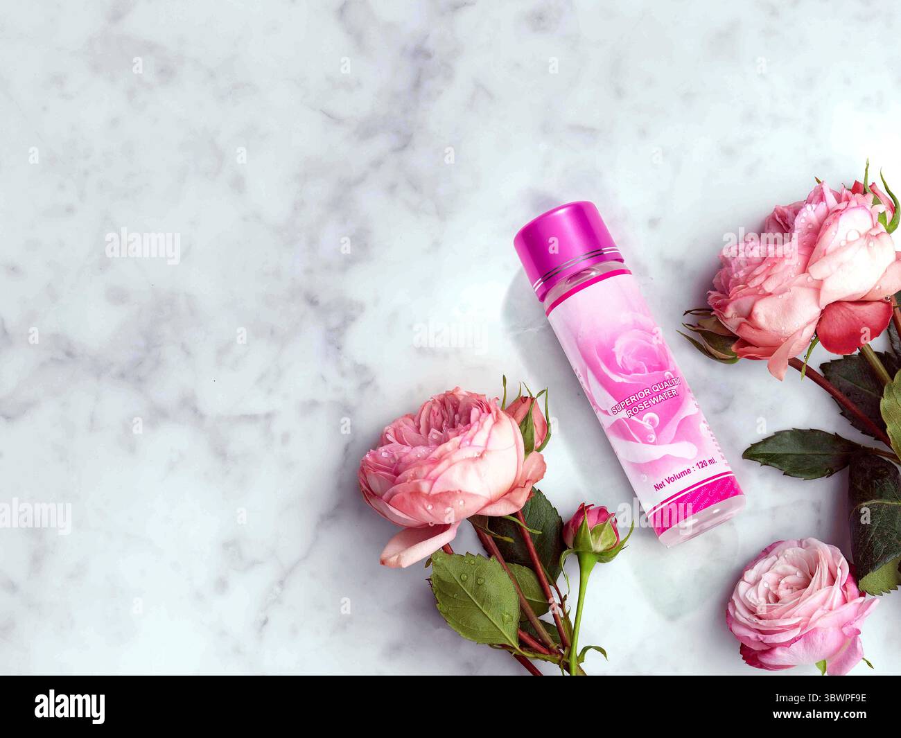 Refreshing rose water in a sleek pink bottle, surrounded by fresh roses ...