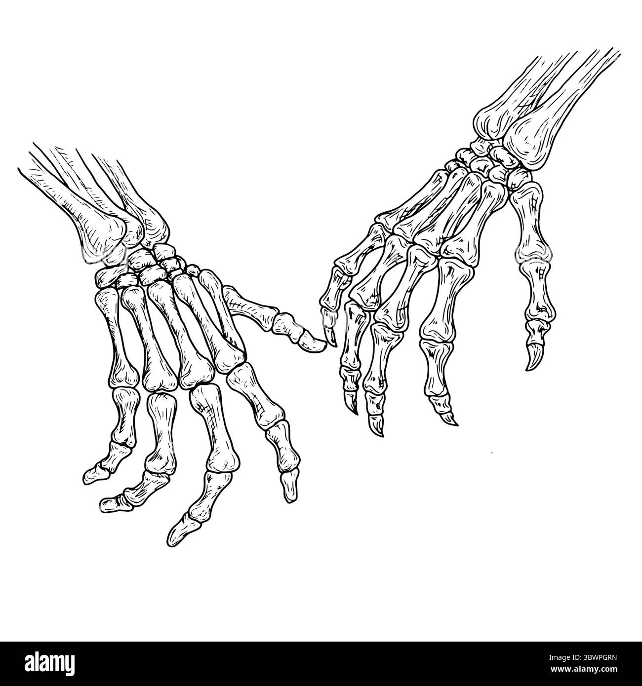 Witches finger Stock Vector Images - Alamy