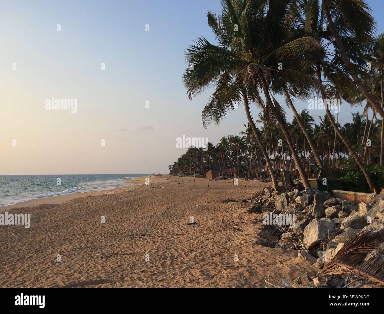 Tropical coastline lined palm trees hi-res stock photography and images ...