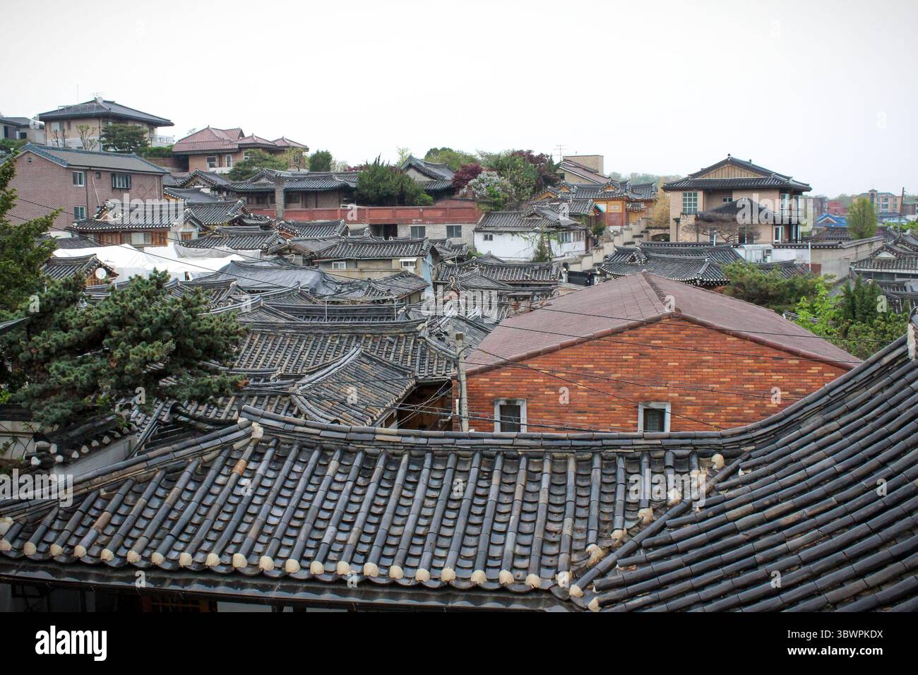 Traditional Korean hanok rooftops in a densely built historic ...