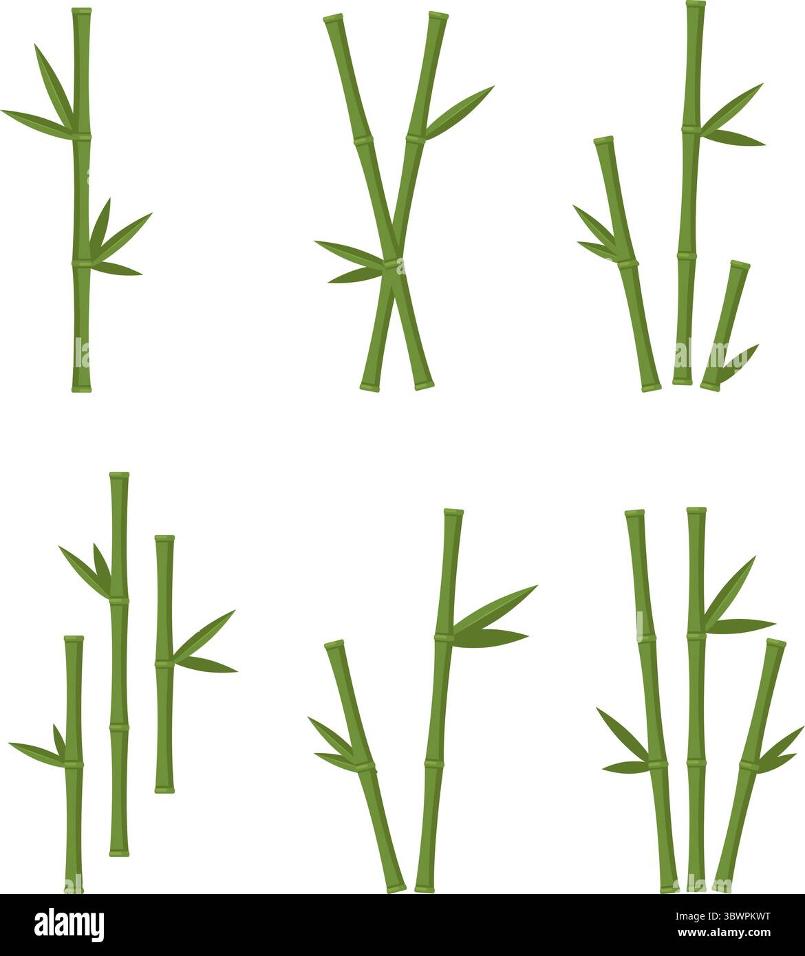 Bamboo stems of different sizes with leaves. Green segmented straight ...