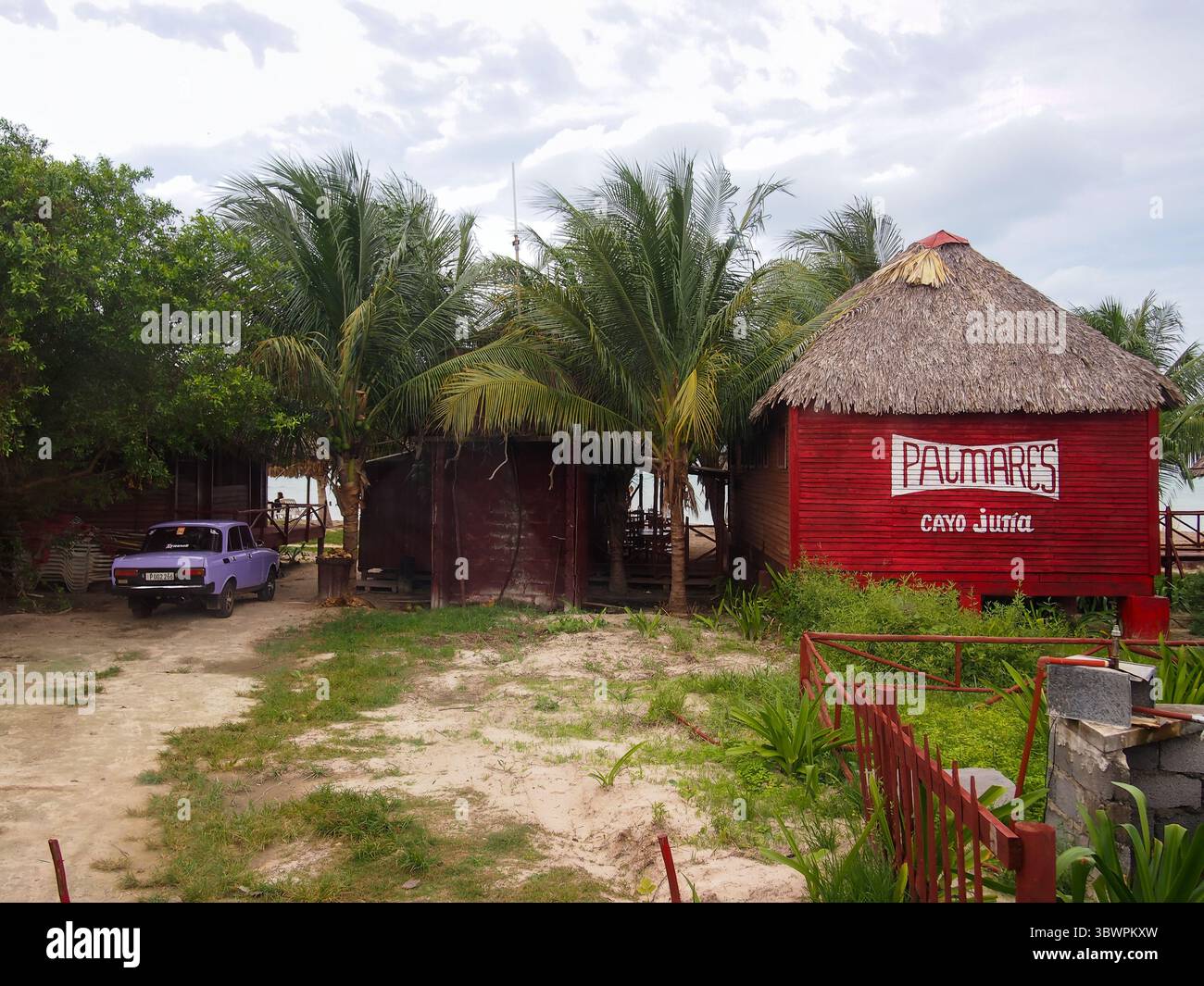 Beachside wooden buildings and palm trees in Cayo Jutía, Cuba, with a ...