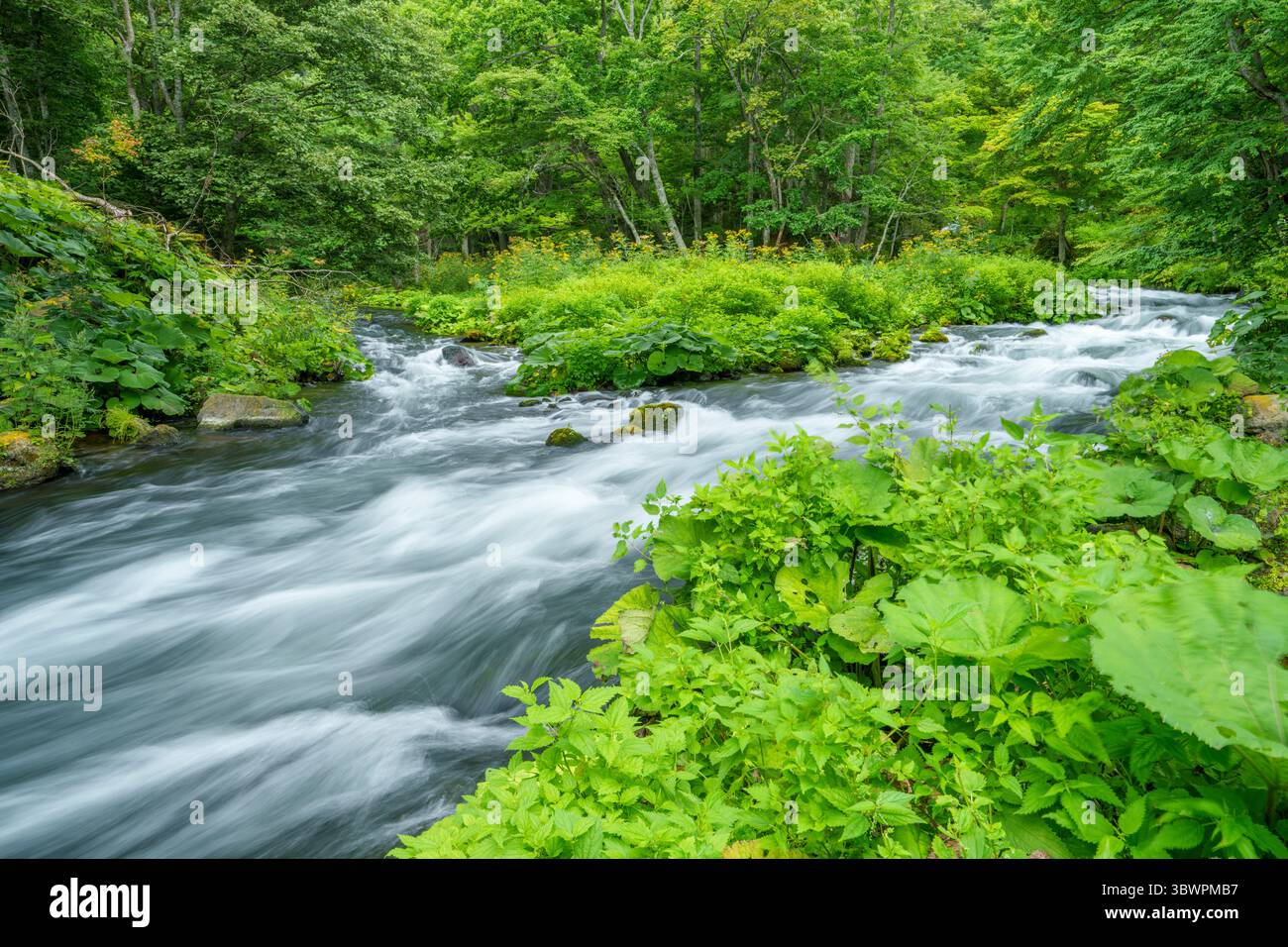 Water stream, Hokkaido, Japan Stock Photo - Alamy