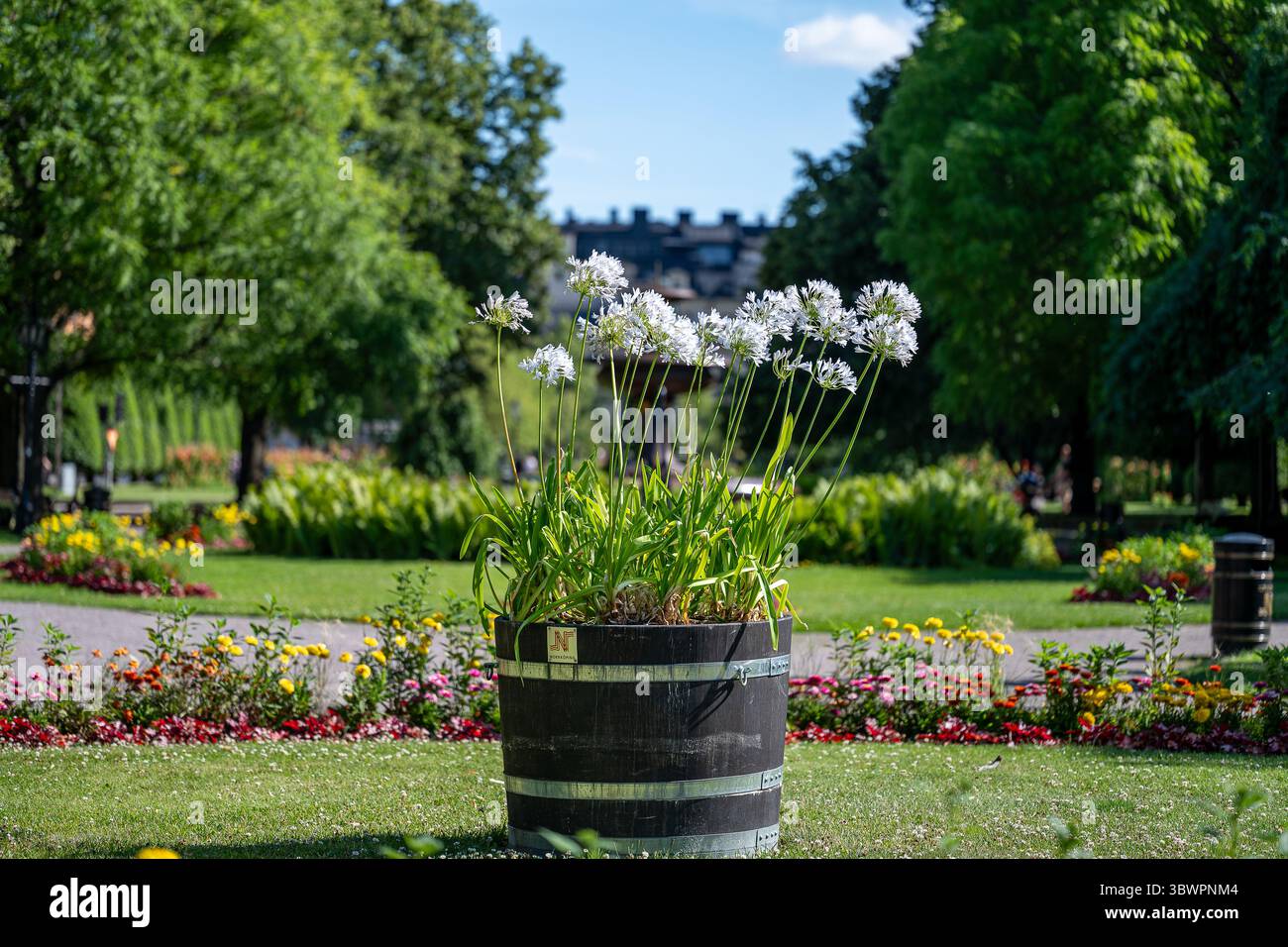 Carl Johans park during the summer of 2025 in Norrkoping with the ...