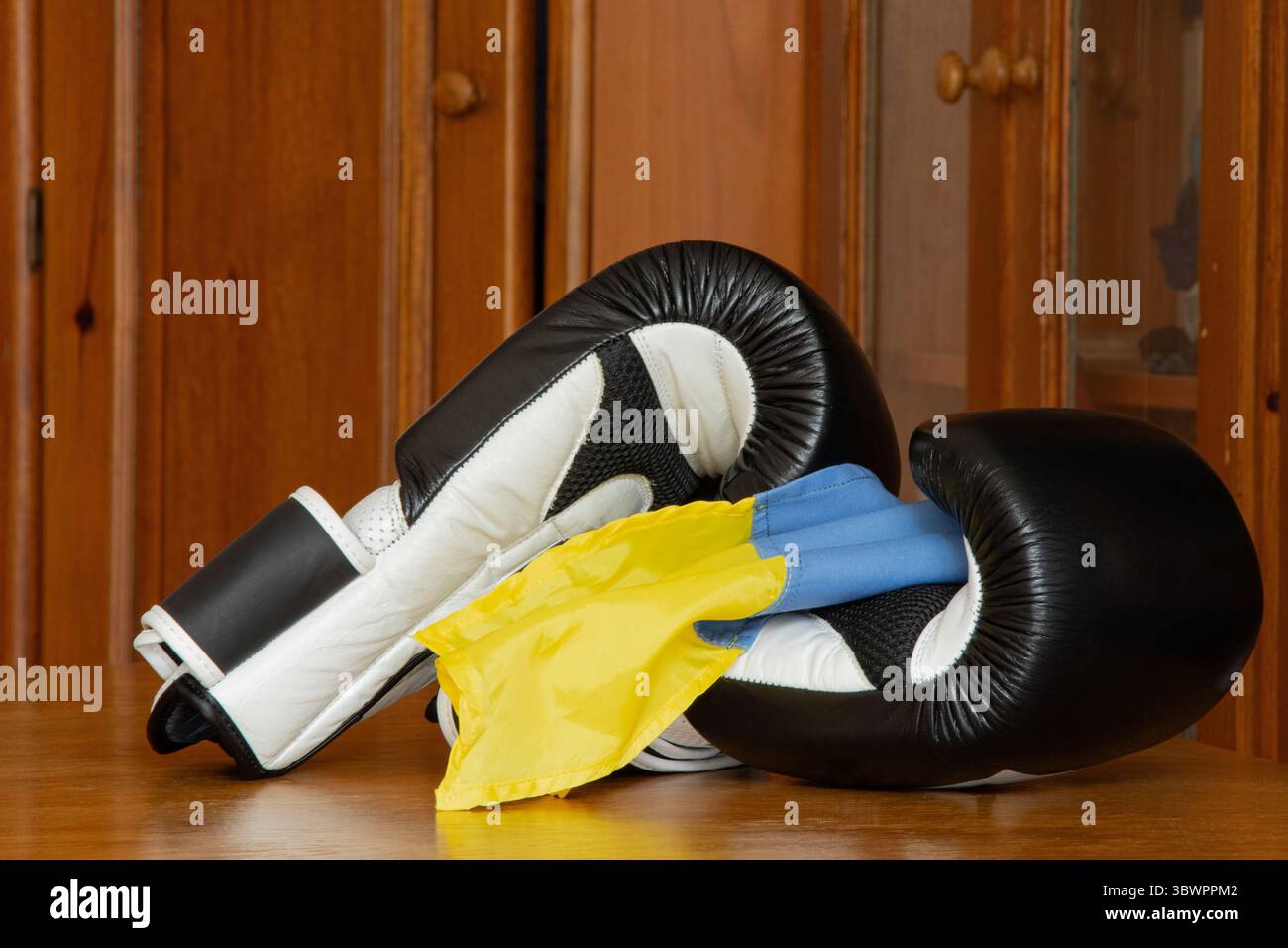 Black and white boxing gloves and Ukrainian flag lie on the table in ...