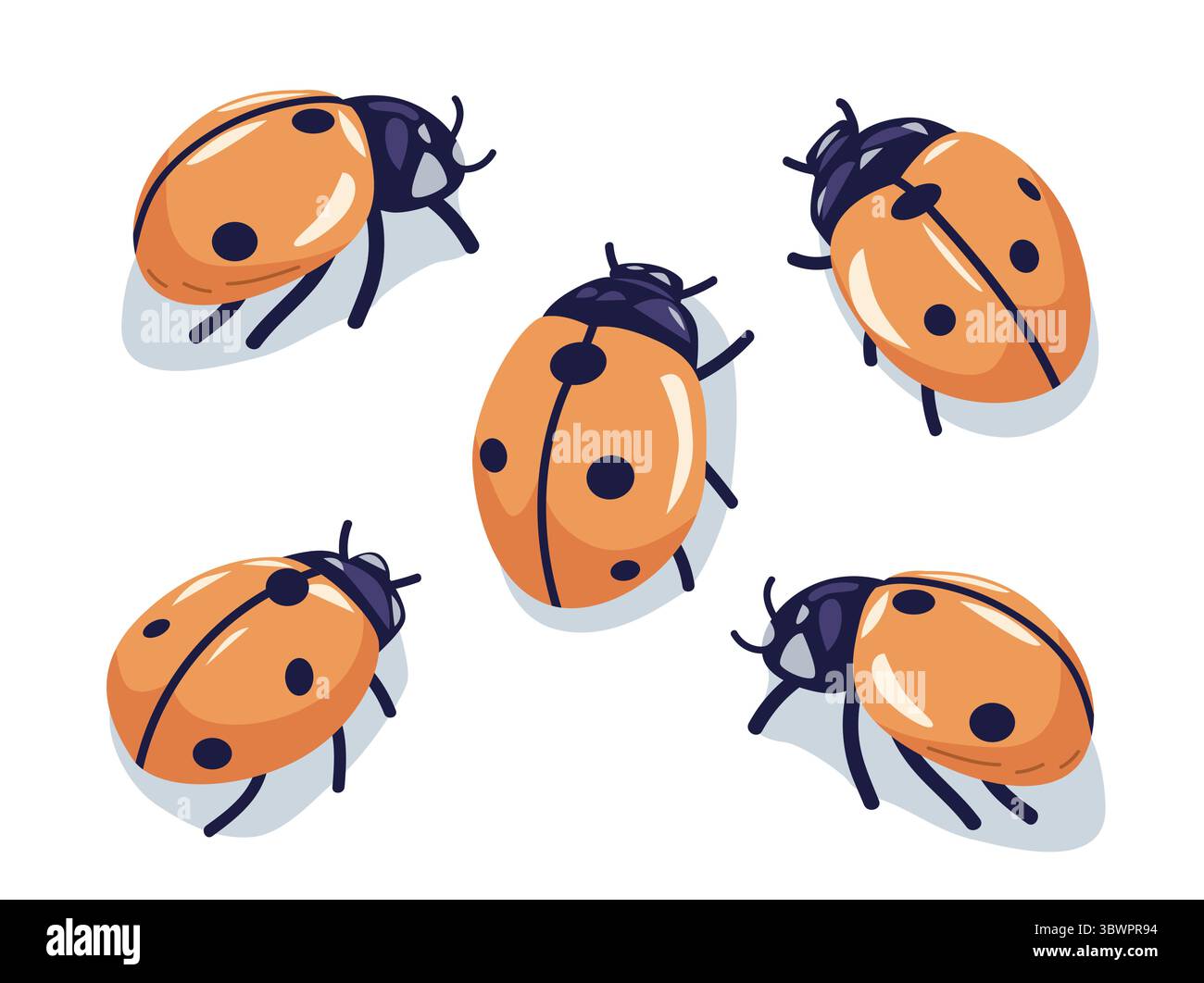 Ladybug insect cartoon pattern cute bugs animals isolated on white ...