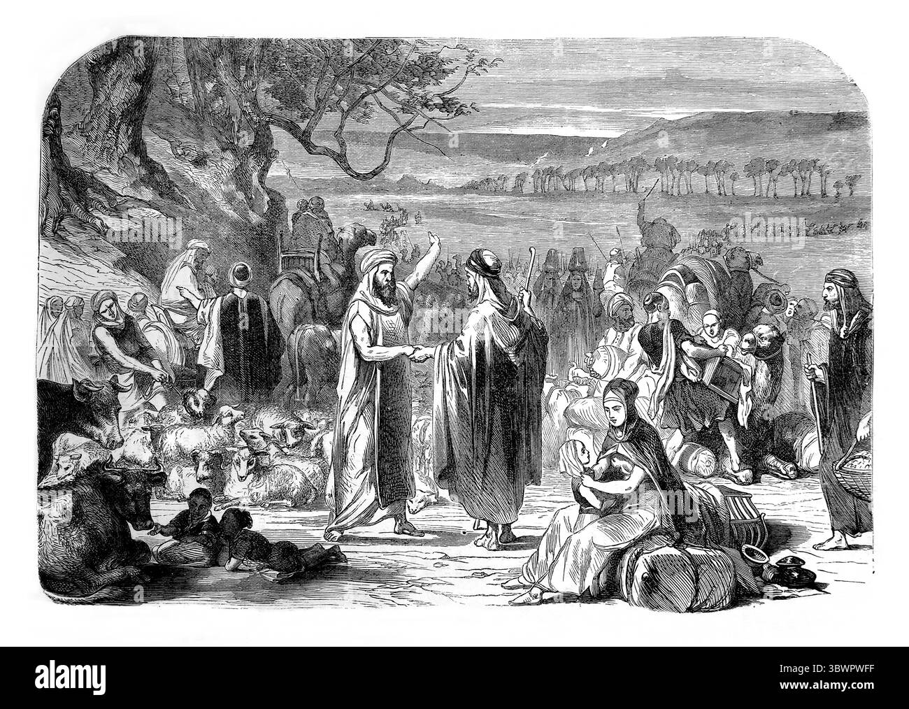 Abraham and sheep Cut Out Stock Images & Pictures - Alamy