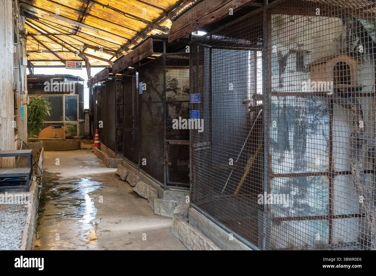 A dark alley with animal cages at Pata Zoo in the Pata Pinklao ...