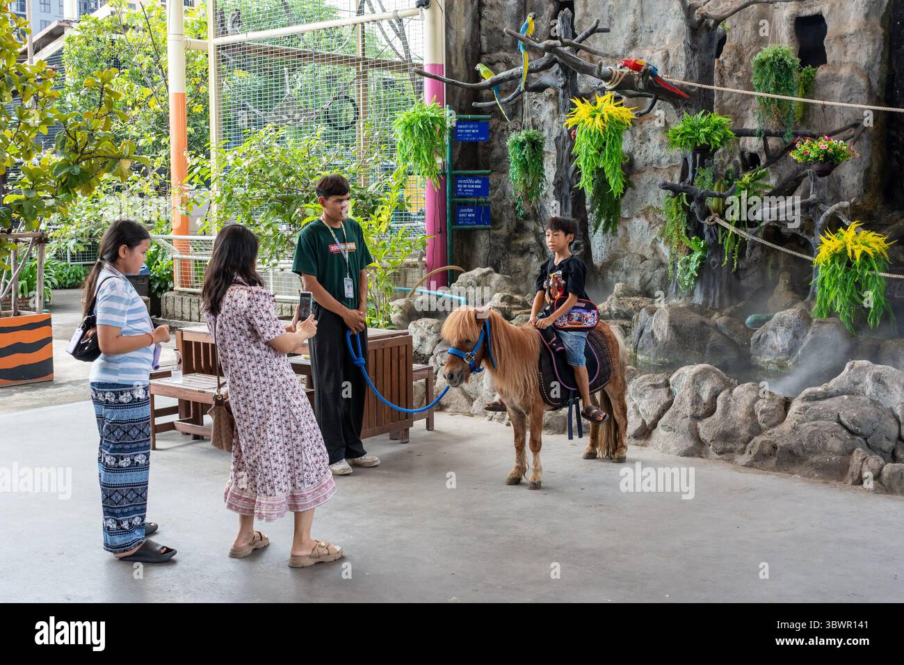 A mother is seen taking a picture of her son on a pony at Pata Zoo in ...