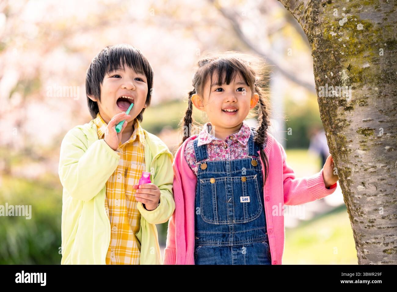 Japanese kids at the park Stock Photo - Alamy