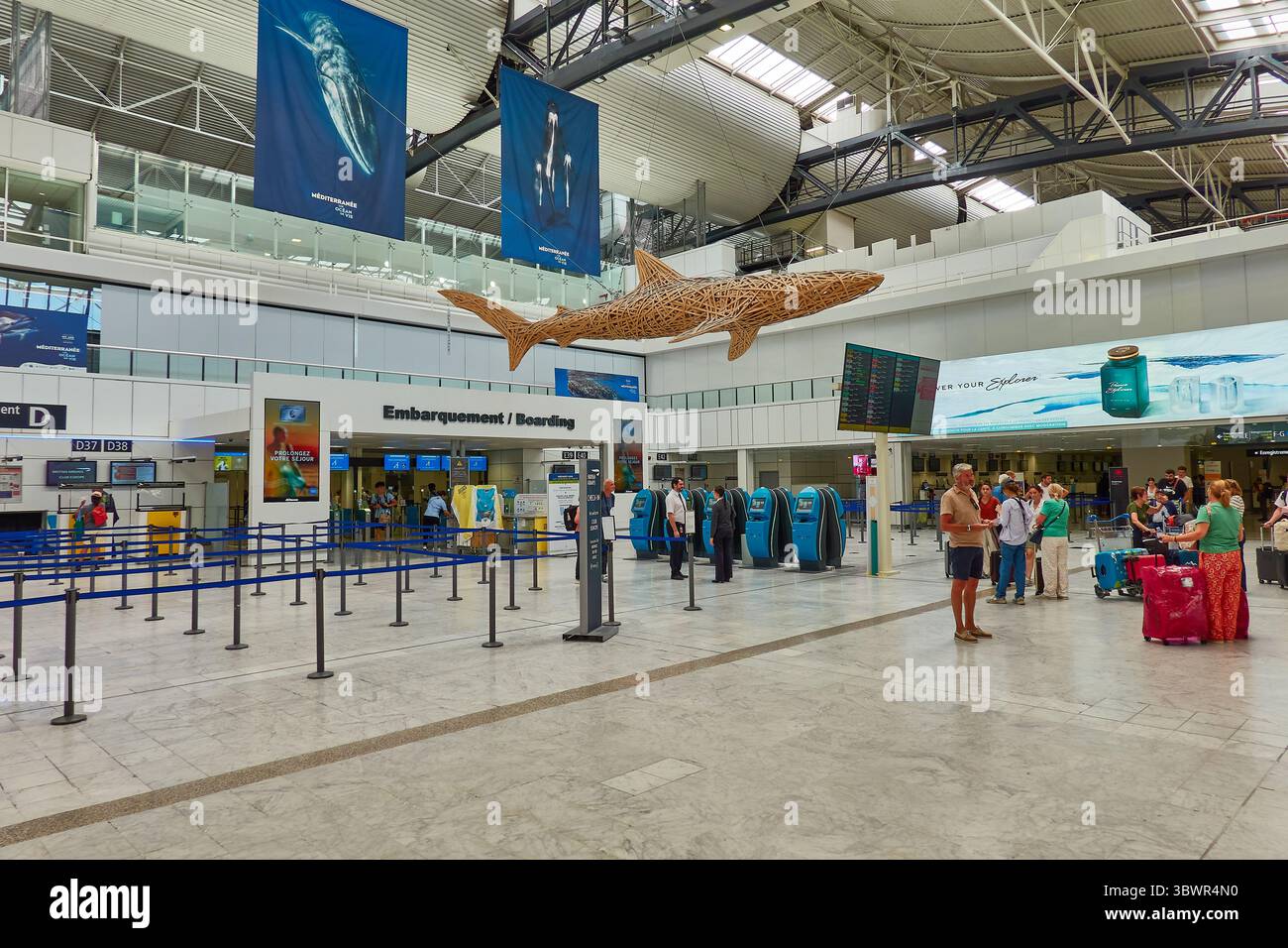 People in Airport Terminal Queuing and Preparing for Travel at Check-in ...