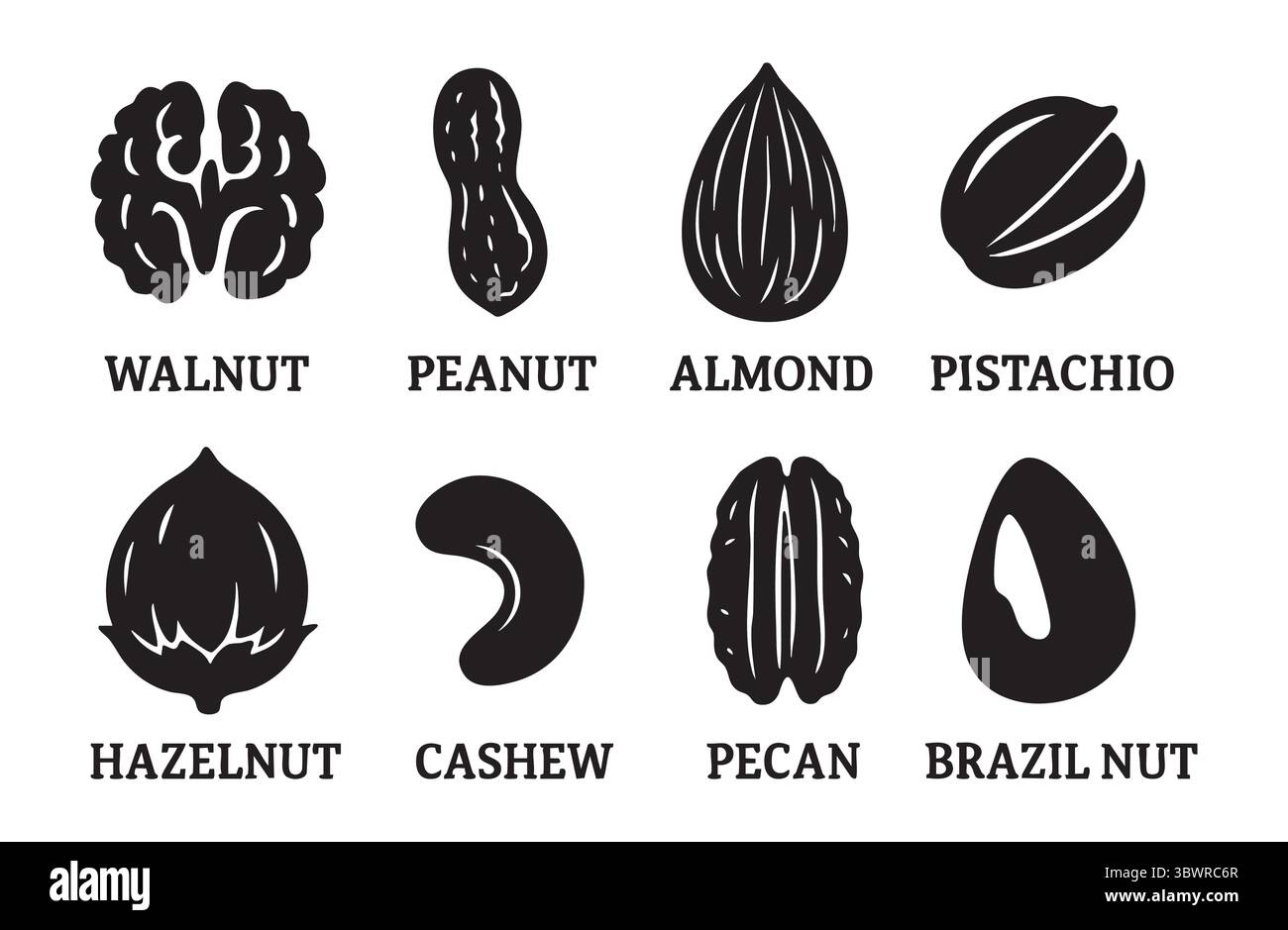 Set of Black silhouette icons of various nuts including walnut, peanut ...