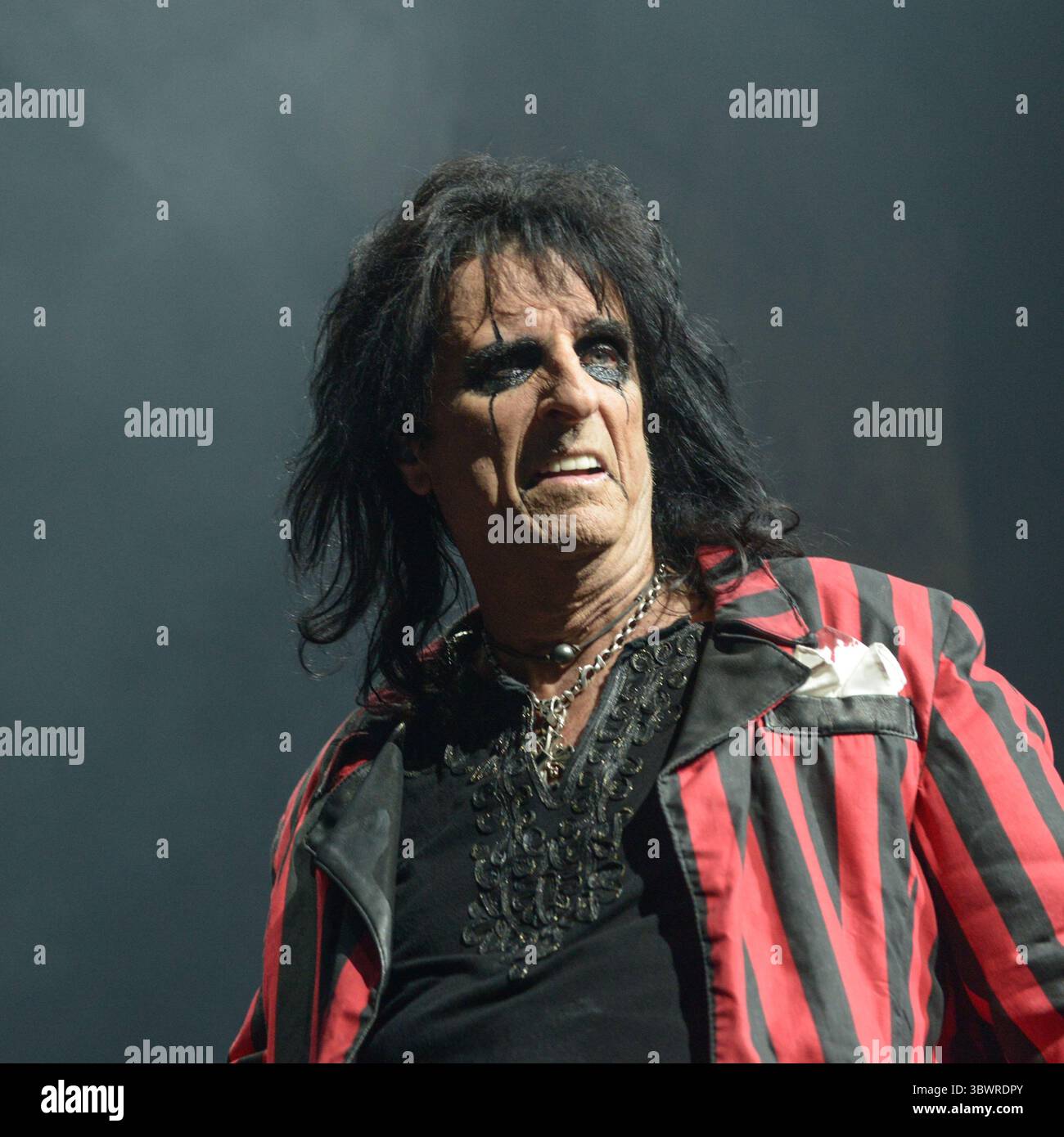 June 6, 2013, Los Angeles, California, USA: ALICE COOPER at Gibson ...