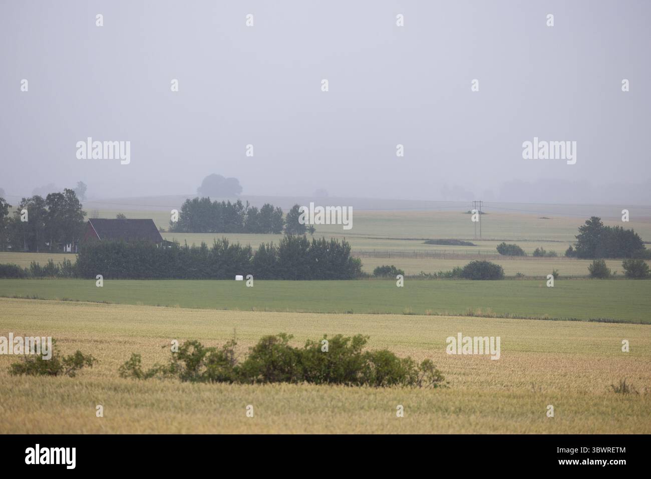 Seasonal weather, heavy rainfall in Vadstena, Sweden, during Wednesday ...