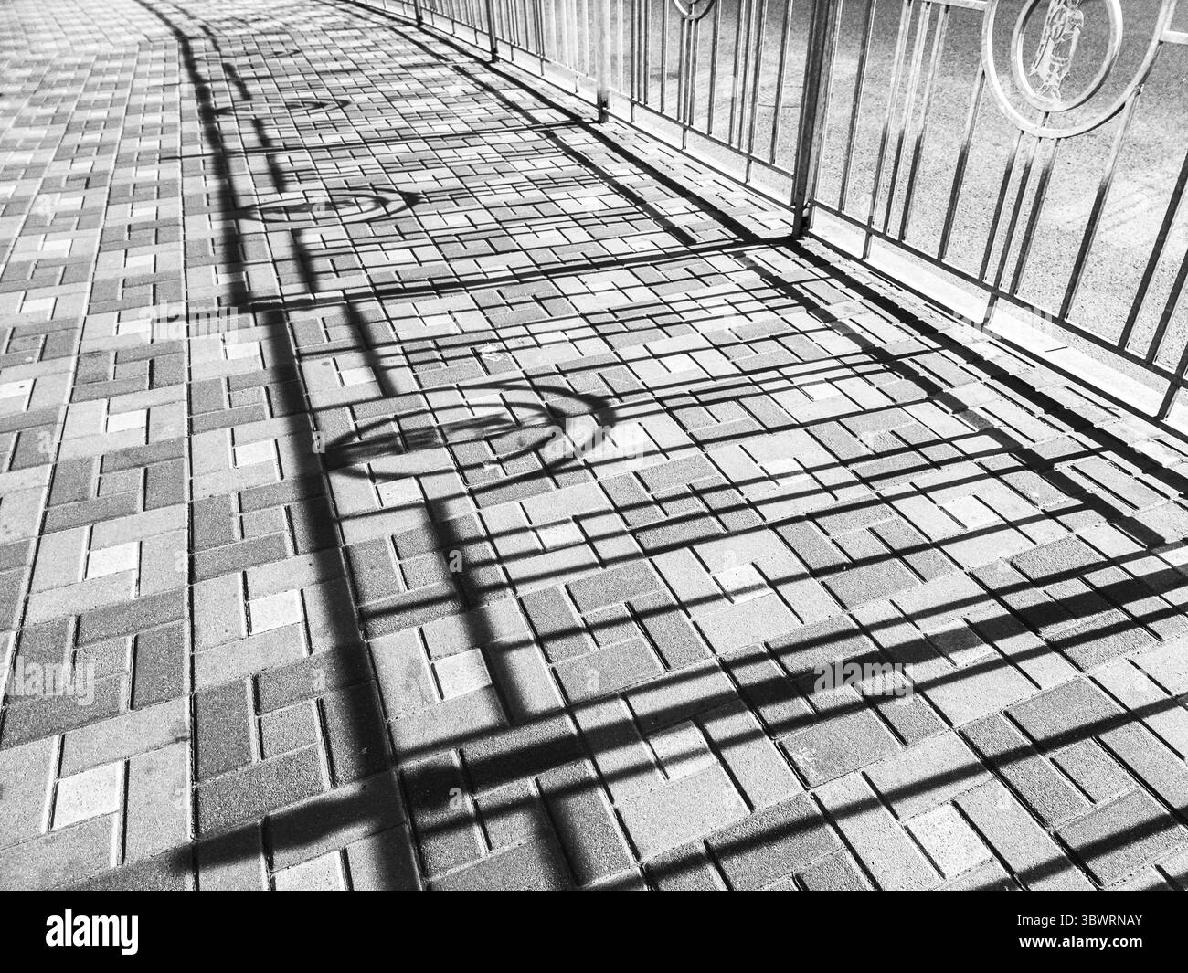 Black and white image of shadows of a fence with circular decorations ...