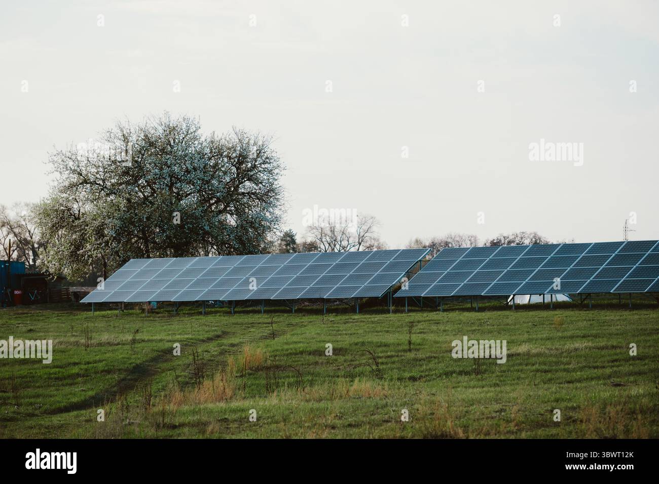 Arrays of solar panels set in a meadow, capturing the essence of ...