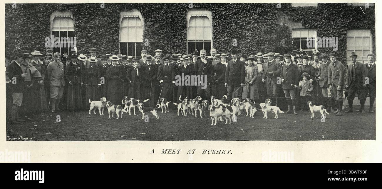 Group of people at a hunting meet at Bushey, Foxhound, Victorian 19th ...