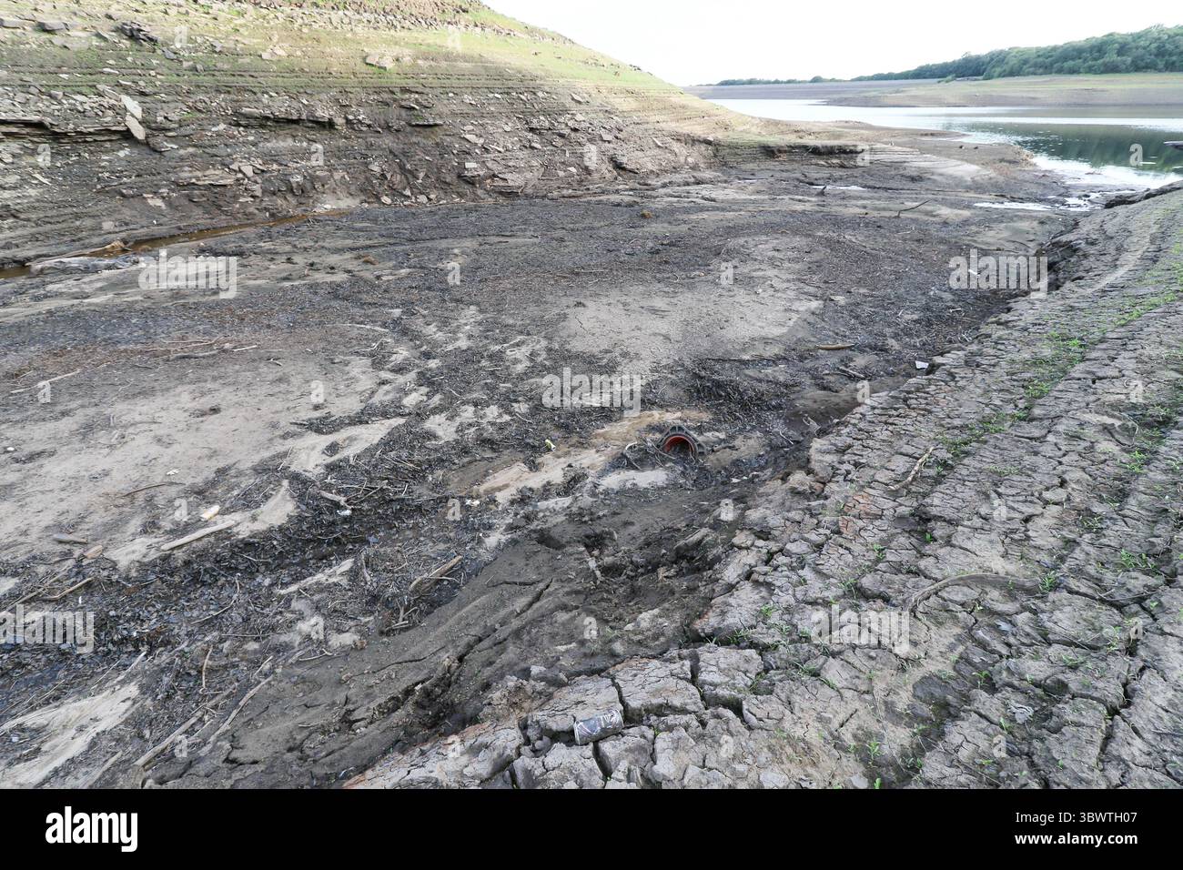 10th July 2025. Yarrow Reservoir between Chorley and Bolton, Lancashire ...
