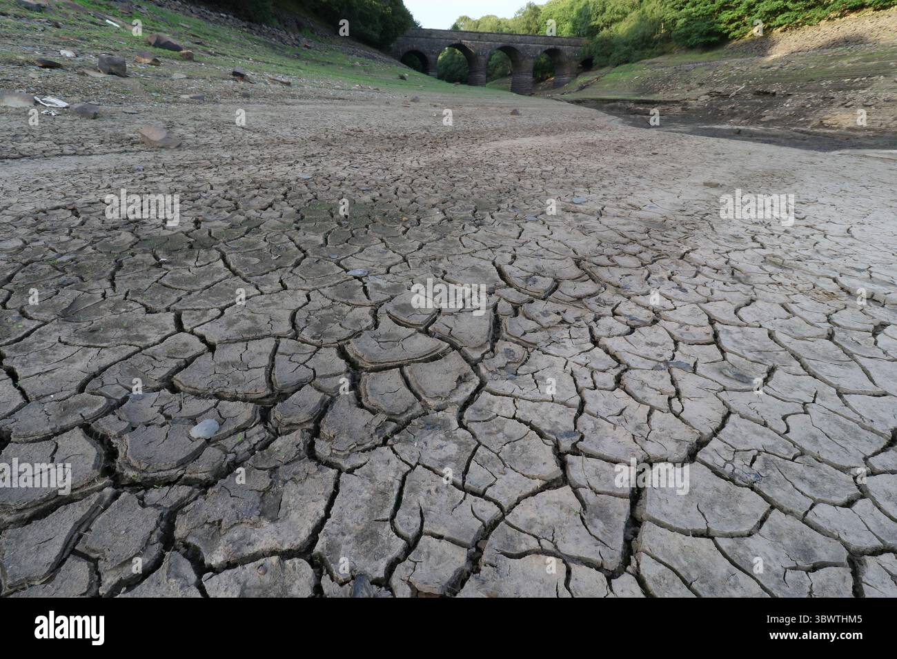 10th July 2025. Yarrow Reservoir between Chorley and Bolton, Lancashire ...