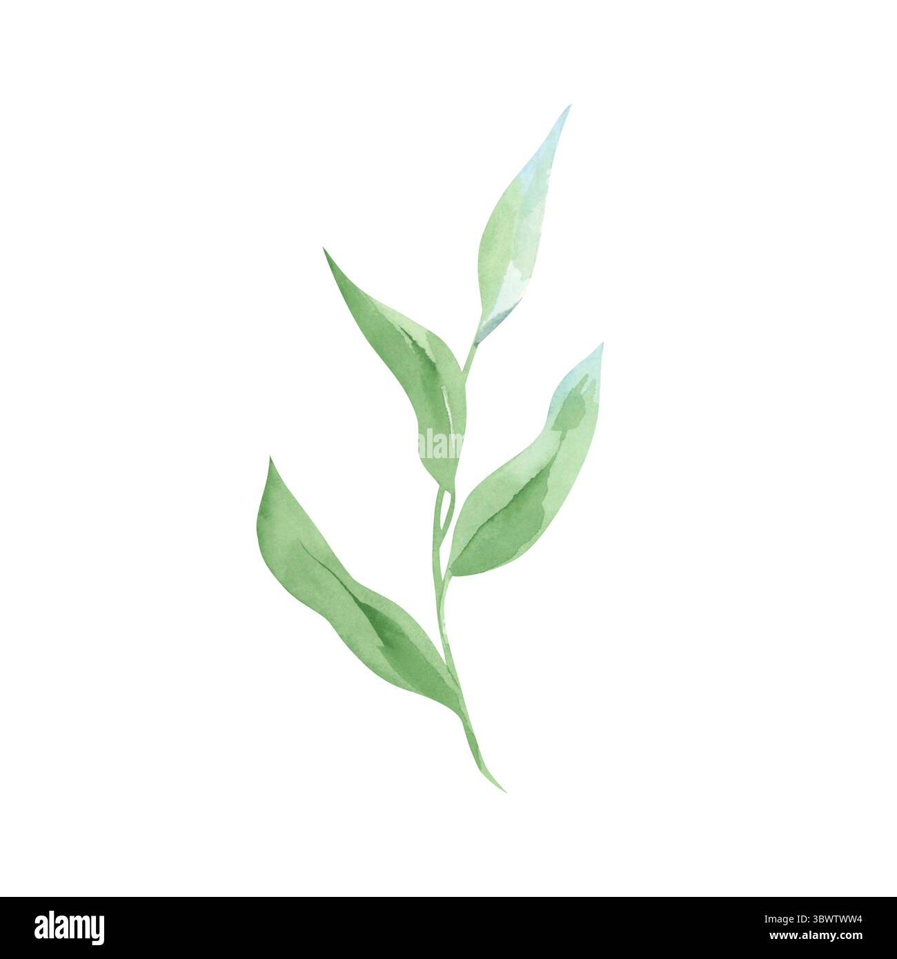 Green nature leaf Cut Out Stock Images & Pictures - Alamy