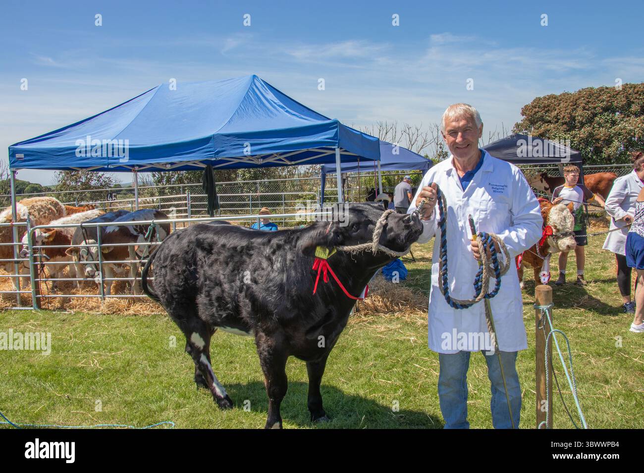 Barryroe Show, West Cork July 2025 Stock Photo - Alamy