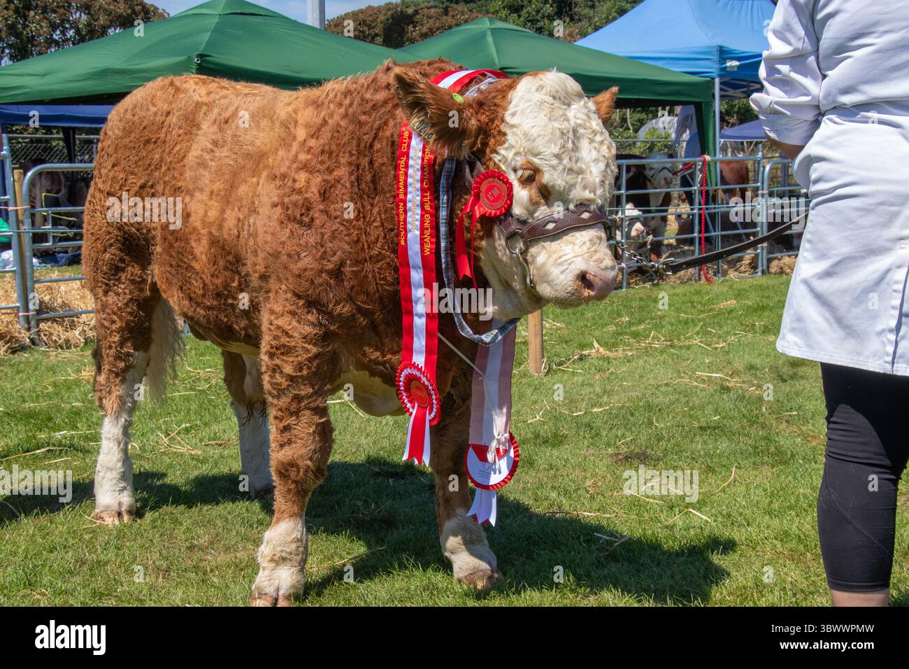 Barryroe Show, West Cork July 2025 Stock Photo - Alamy