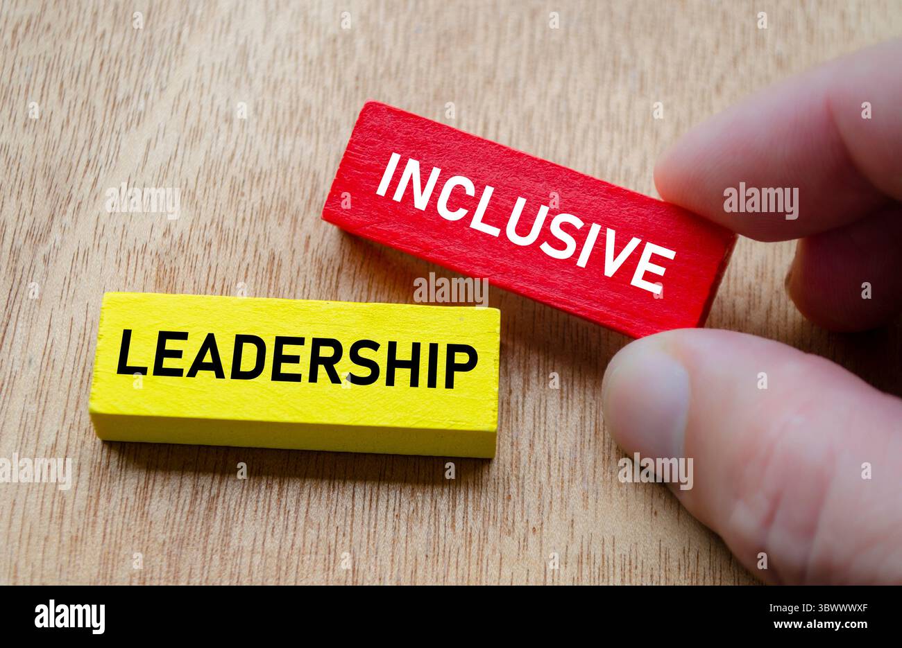 Inclusion Leadership shown by hand holding red and yellow wooden blocks ...